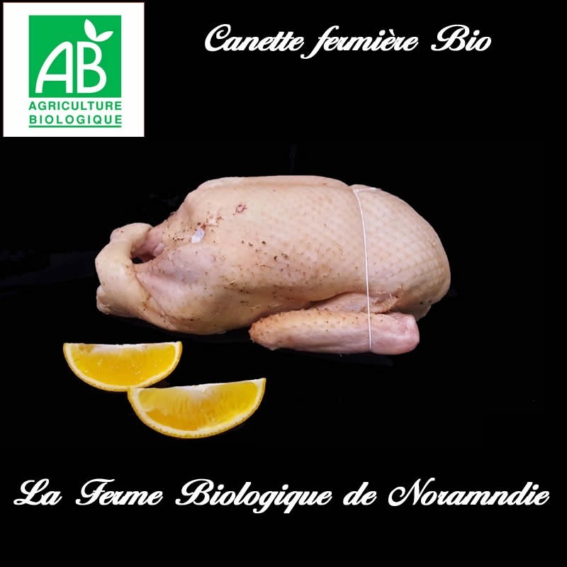 Canard bio fermier
